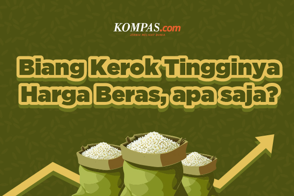 Biang Kerok Tingginya Harga Beras dari berbagai versi, apa saja? - Kompas.com